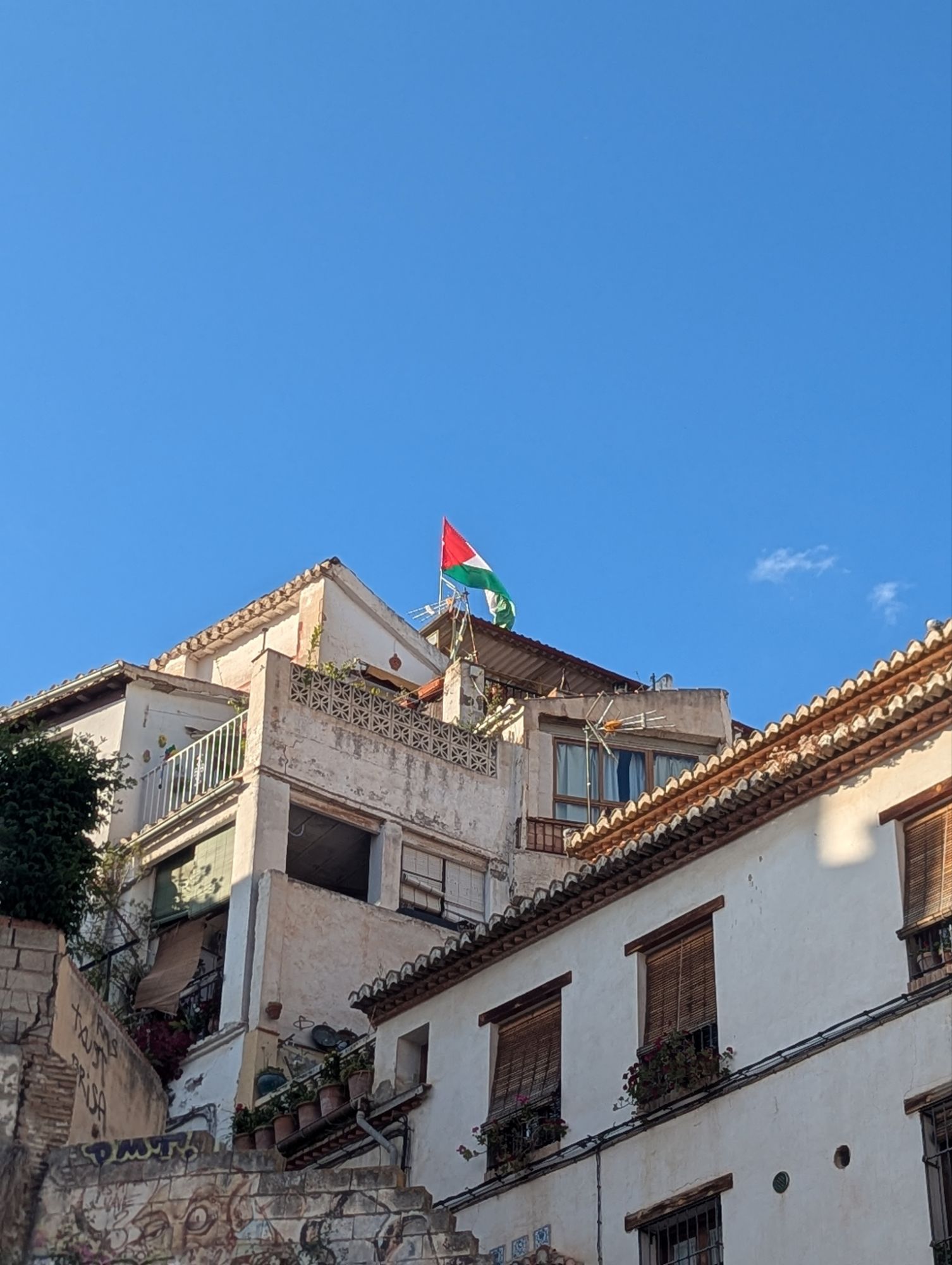 Granada: Blood, Beauty, and the Echoes of La Ilaha Illallah – Halai